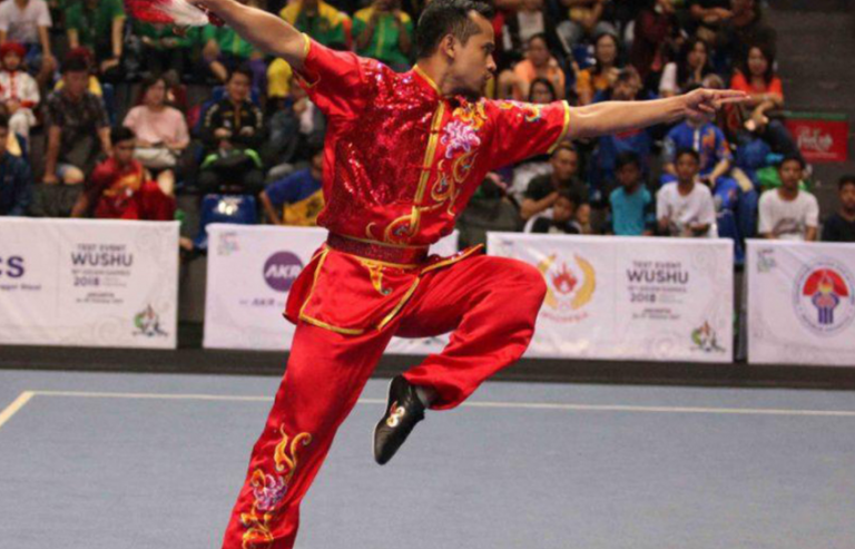 What is wushu ? It is a Chinese martial art - yourgoldpages.com